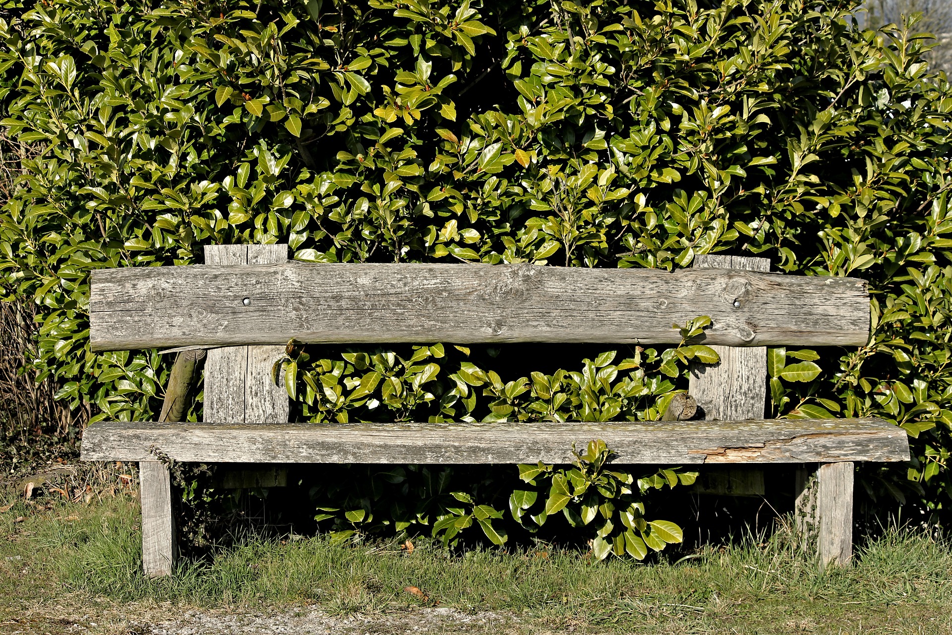 bench – Nenagh Parish